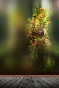 🔥Forest Outdoor Studio Background Download New | PngBackground