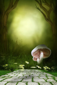 Tree Outdoor Studio Background HD Download Photo | PngBackground