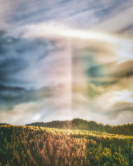 🔥Forest Photoshop Nature Background HD Downloaad For CB Editing Free ...