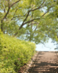 Nature Green Garden Photo Editing Background Free | PngBackground