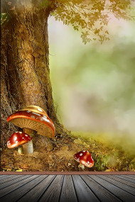 🔥Forest Outdoor Studio Background Download Full HD | PngBackground