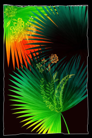 🔥Indoor Home Flower Studio Background HD Download Pics | PngBackground