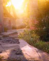 🔥Insta Viral Sunset Wallpapers HD CB Editing Background | PngBackground