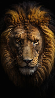 🔥Intimidating dark yellow lion face mobile Wallpaper HD | PngBackground