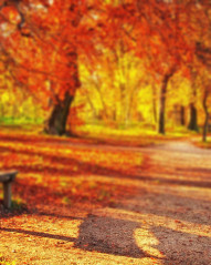 🔥Nature Sunset Background For CB Picsart Photo Editing New | PngBackground