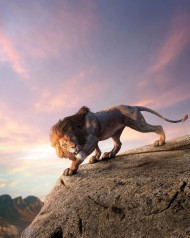 🔥New Background HD For Lion Snapseed Photo Editing Images | PngBackground