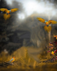 🔥Parrot CB Photo Editing Images HD Rdx Editor Background New | PngBackground