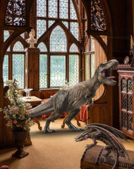 🔥Photoshop Background Full HD For NSB Pictures Editing | PngBackground