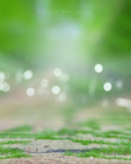 🔥 (2,000+) Best Lightroom Editing Background Free | Png Background