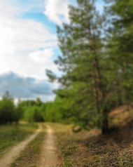🔥 (1,500+) Top Road Editing Background Full HD | PngBackground