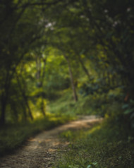 🔥 (1,500+) Top Road Editing Background Full HD | PngBackground