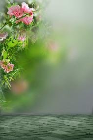 🔥Studio Background Download For Outdoor Photo | PngBackground