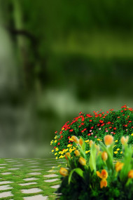 Studio Outdoor Background Wallpapers Download | PngBackground