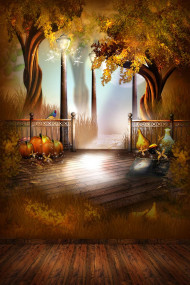 Nature Indoor Studio Background HD Download Img | PngBackground