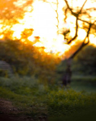 🔥 (2,000+) Best Blurred Editing Background Free | Png Background