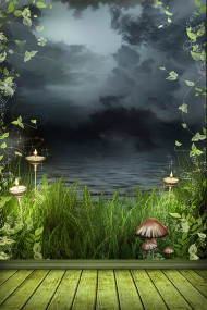 🔥Tree Forest Outdoor Studio Background HD Download HD | PngBackground