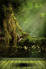 🔥Tree Outdoor Studio Background HD Download Photo | PngBackground