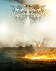 🔥Two Tigers Photo Editing Wallpapers CB Backgrounds | PngBackground