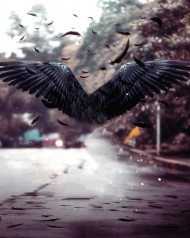 🔥White Wing Viral Instagam CB Background Download Full HD | PngBackground